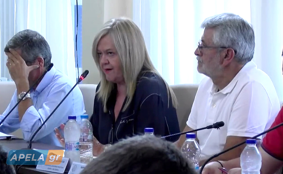 Παρέμβαση Τζανετέα στο Δημοτικό Συμβούλιο για τα έργα στη Σπάρτη ...