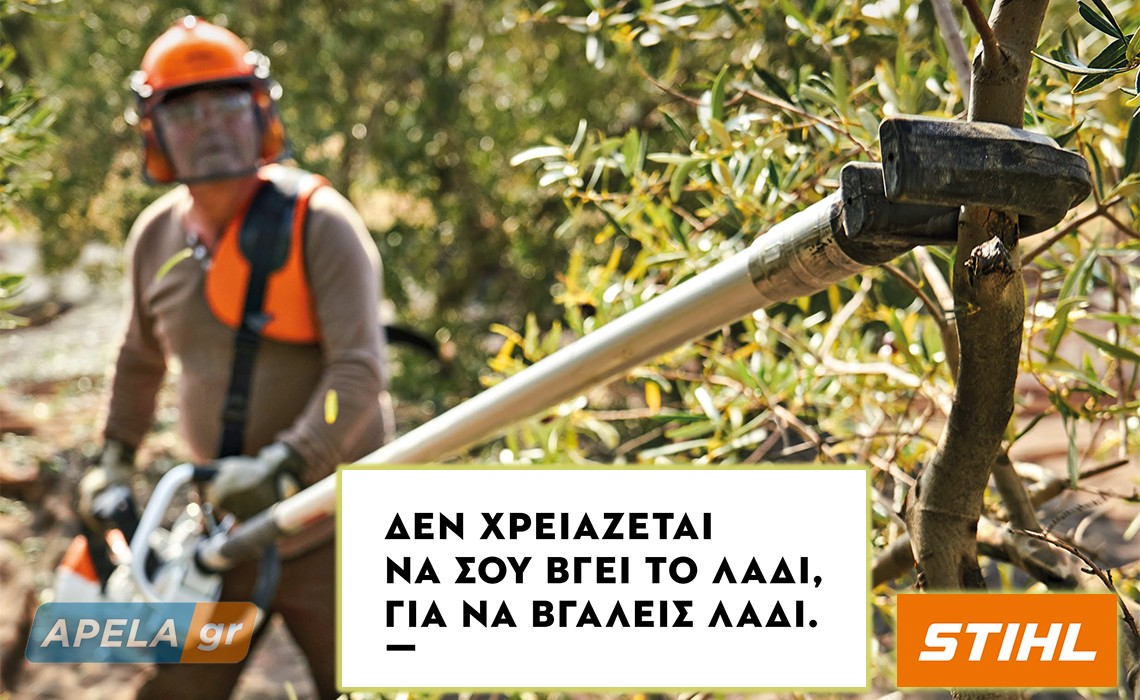 Φθινόπωρο χωρίς φθινοπωρινές προσφορές της Stihl γίνεται; | ΛΑΚΩΝΙΑ ...