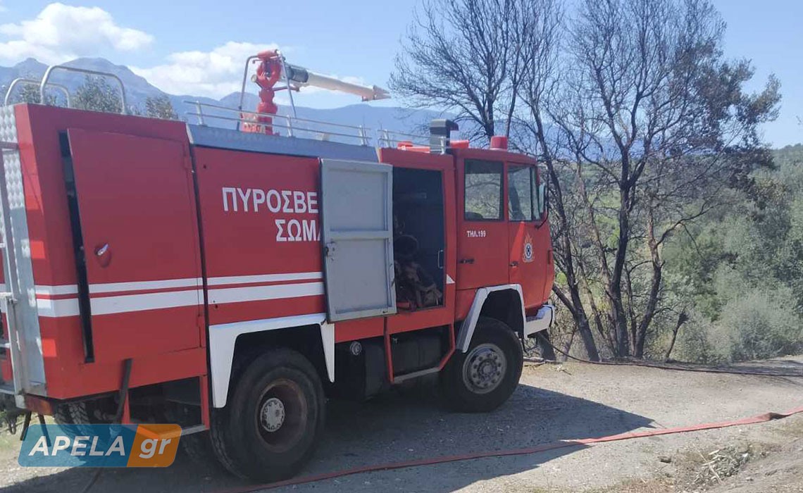 Συνέλαβαν άνδρα για πρόκληση πυρκαγιάς σε δασική έκταση στην Ελίκα ...