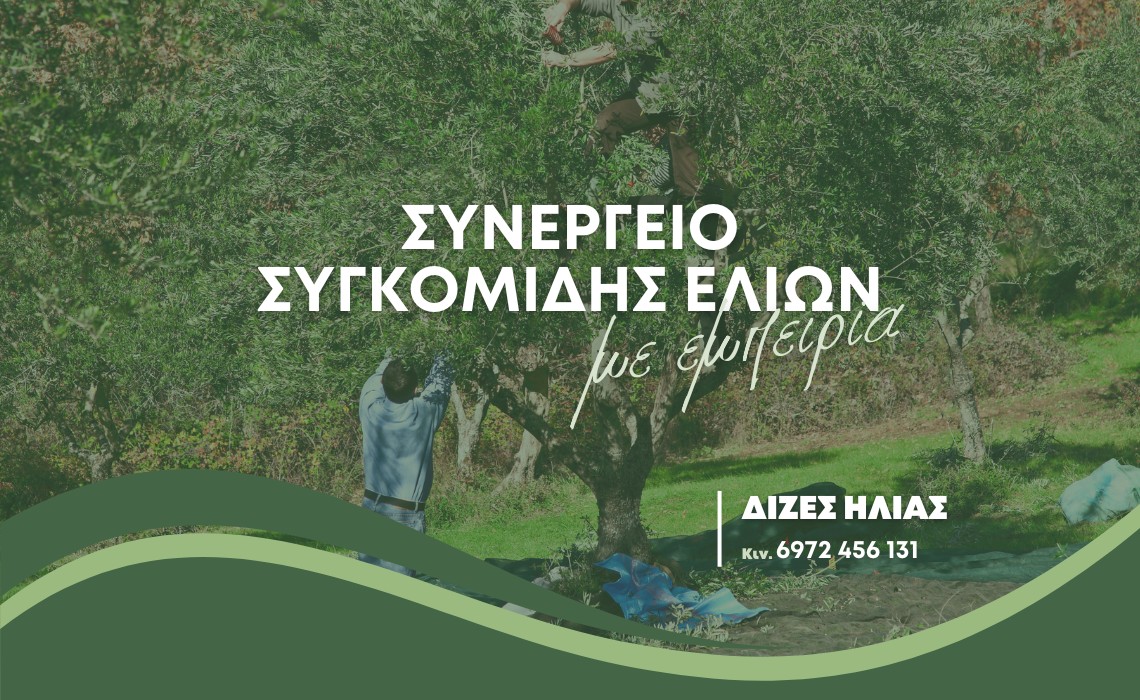Συνεργείο συγκομιδής μαζεύει τις ελιές σας με δικά τους εργαλεία στις ...