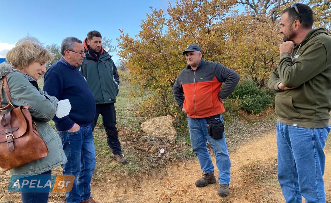 Αυτοψία ΕΛΓΑ και ΔΑΟΚ για ζημιές απο γλοιοσπόριο στην ελαιοπαραγωγή στο ...