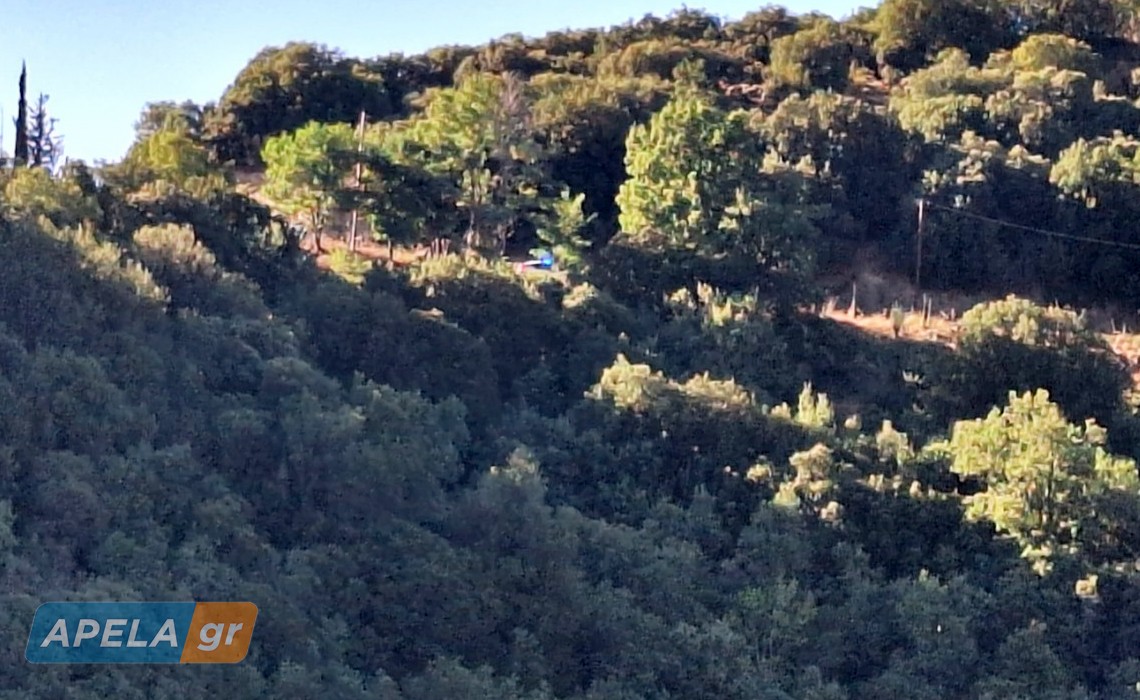 Νεκρός ο οδηγός λεωφορείου λίγο έξω από την Βαμβακού | ΛΑΚΩΝΙΑ ...