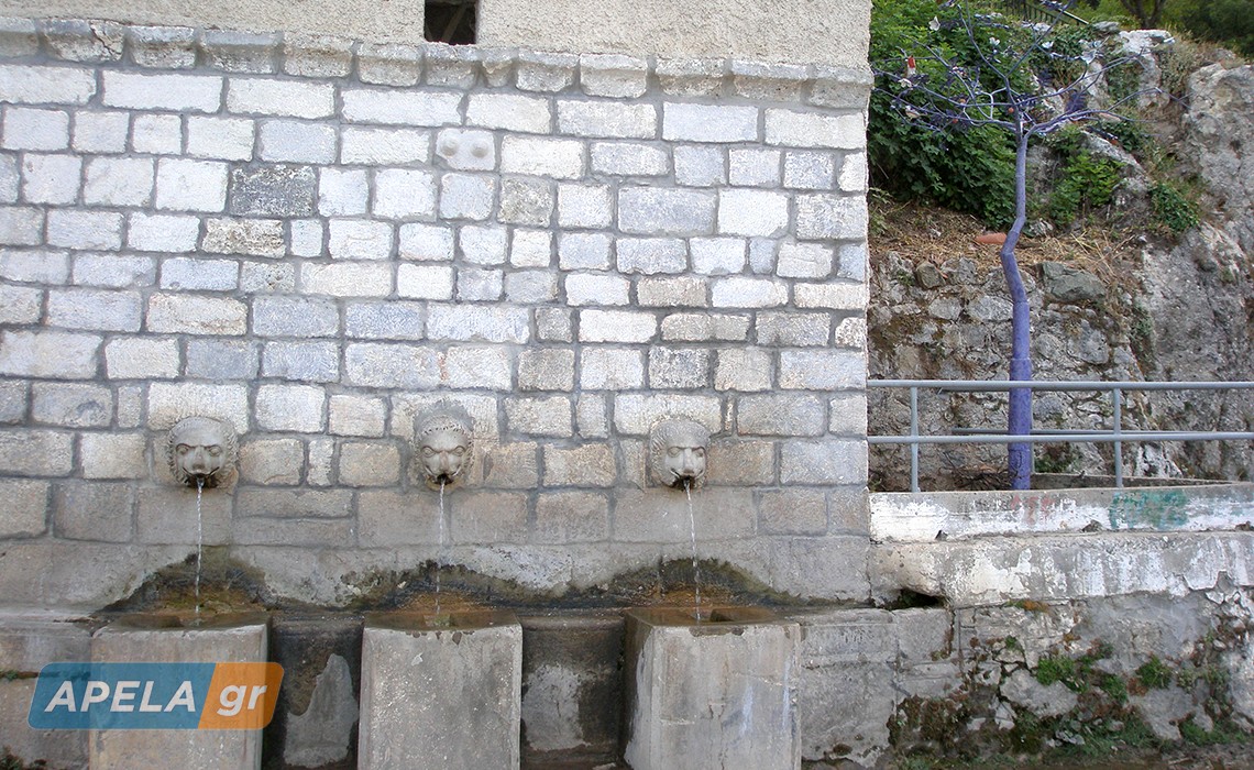 Το «δέντρο της ζωής» στους Αγριάνους και η μνήμη μιας πληγής που ...
