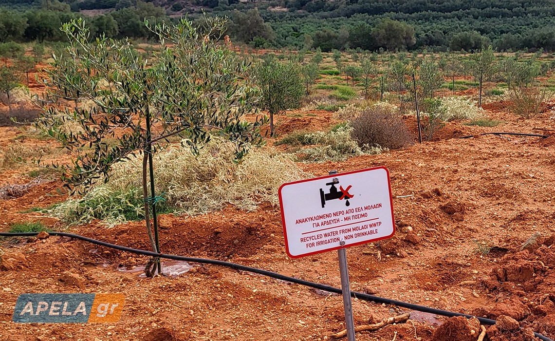 Άρδευση καλλιεργειών με το νερό απο το βιολογικό καθαρισμό Μολάων ...