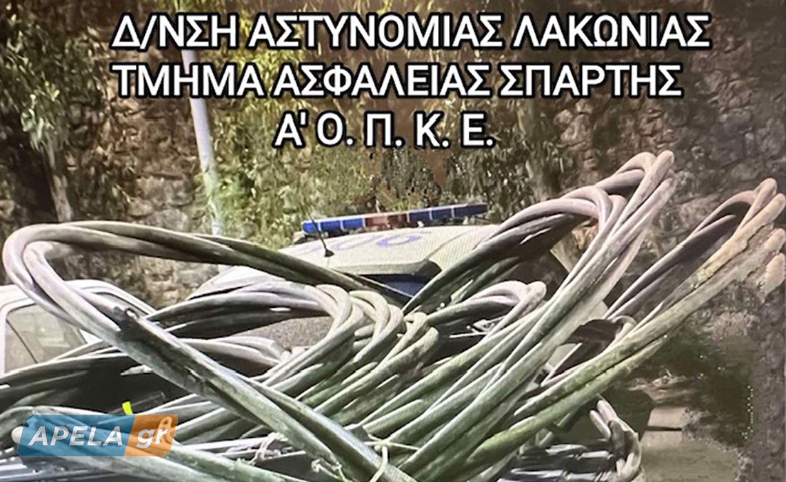 Εξιχνιάστηκαν τέσσερις περιπτώσεις κλοπών στη Λακωνία | ΛΑΚΩΝΙΑ ...