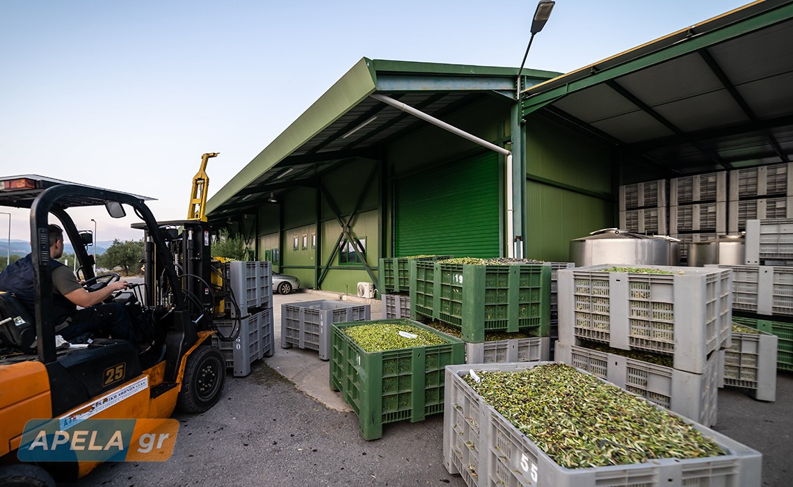 Το «Ελαιοτριβείο Σκούρας Ε.Ε.» άλλαξε Διεύθυνση και ξεκινά την ...